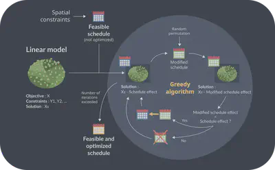 Spatial Organization Compartments (SOC) scheduling | FMT Documentation